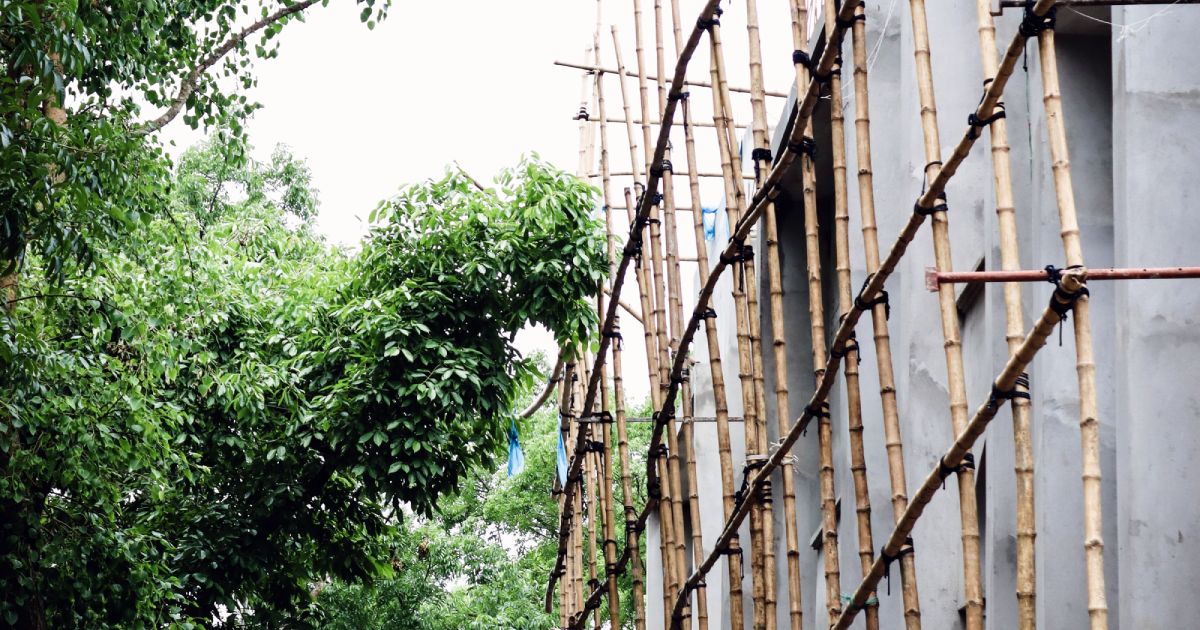Why Bamboo Poles Are the Ultimate Natural Building Material - Bamboo Goods
