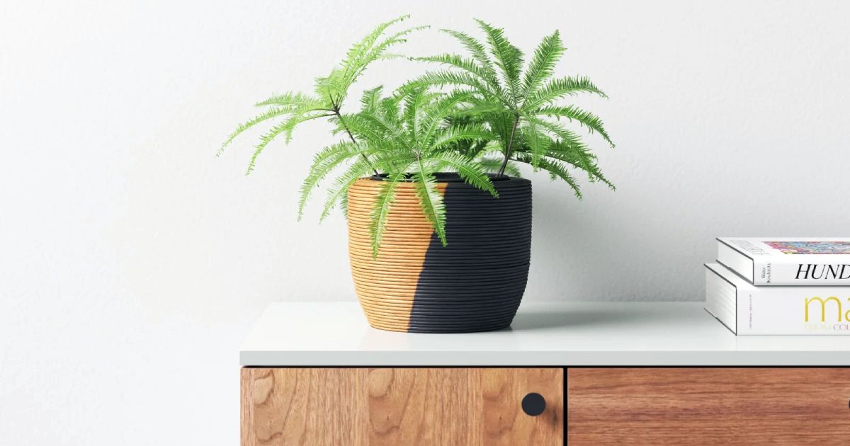 Bamboo Planters: How to Make Container Gardening Sustainable and Easy ...